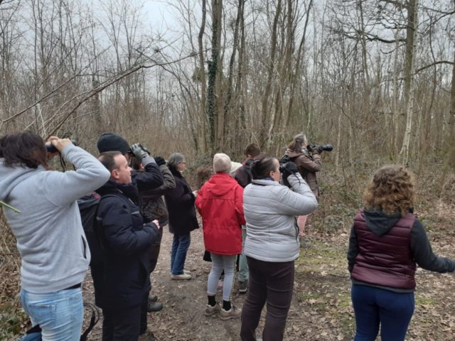 Retour sur l’atelier d’initiation à l’ornithologie : oiseaux forestiers ...